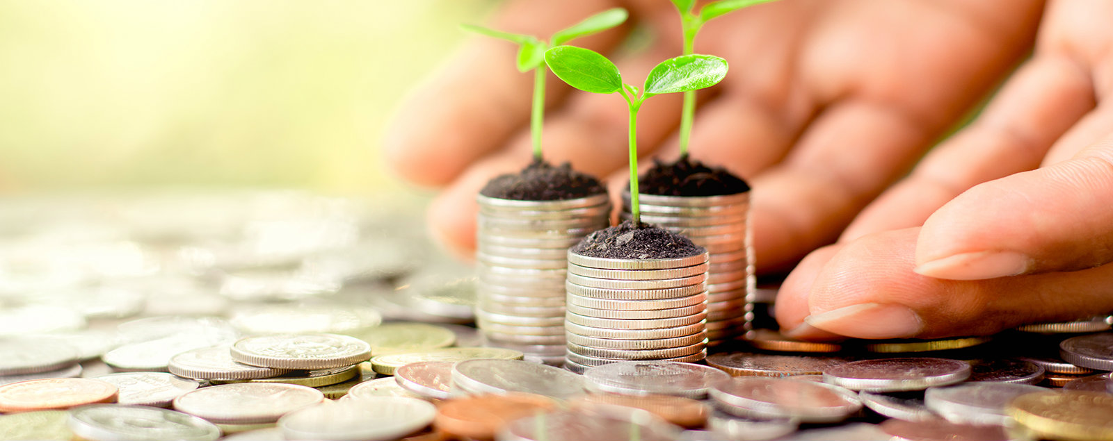 Chemcel FCU | Corpus Christi, TX - Houston, TX - Dallas, TX