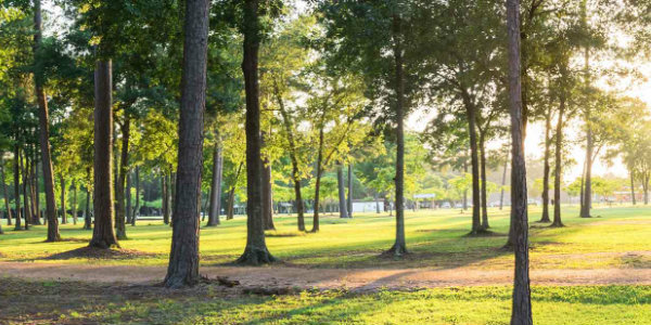 About Doches Credit Union | Doches Credit Union | Nacogdoches, Hemphill ...