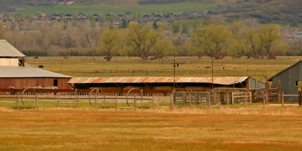 NOW Checking Account | Independence State Bank | Independence, Elk ...