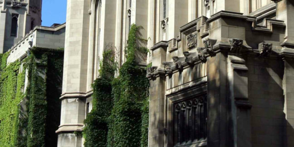 About Maroon Financial Credit Union | MFCU | Chicago - Hyde Park ...