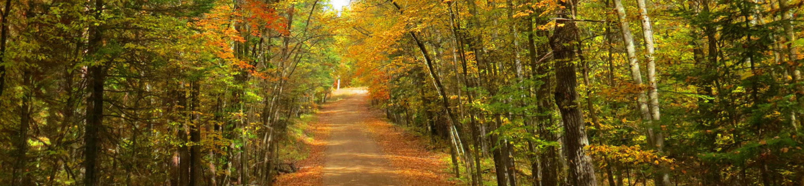 PennCrest Bank | Altoona - Hollidaysburg - Cresson - Gallitzin - Nanty ...
