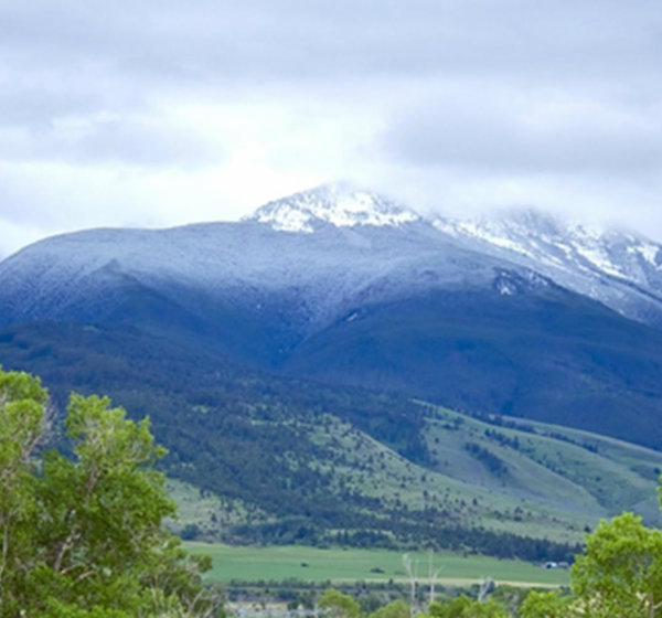 Free Kasasa Saver Account | Sky Federal Credit Union | Montana ...