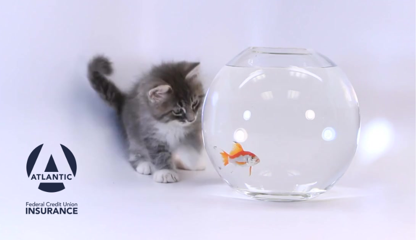 Atlantic FCU | Helping People Do Better