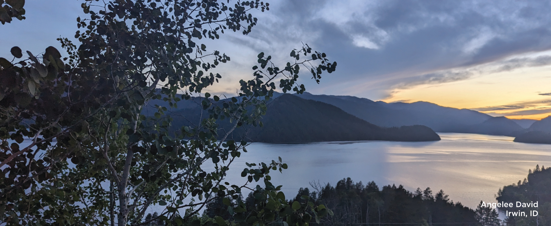 Our Story | History of D.L. Evans Bank | Serving Utah & Idaho